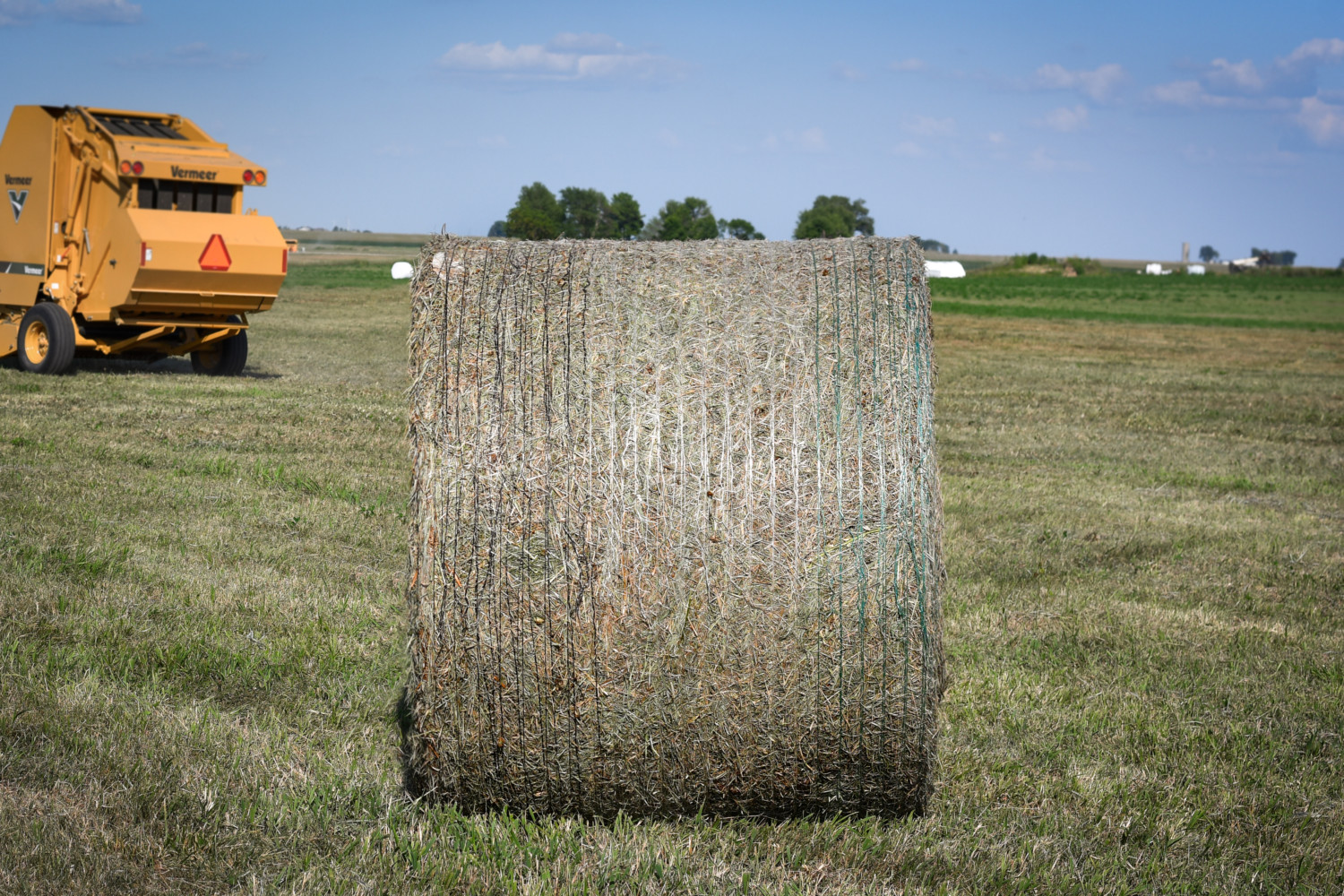 Why It’s Valuable to Know Your Forage Tonnage | Makin' Hay - The Latest ...