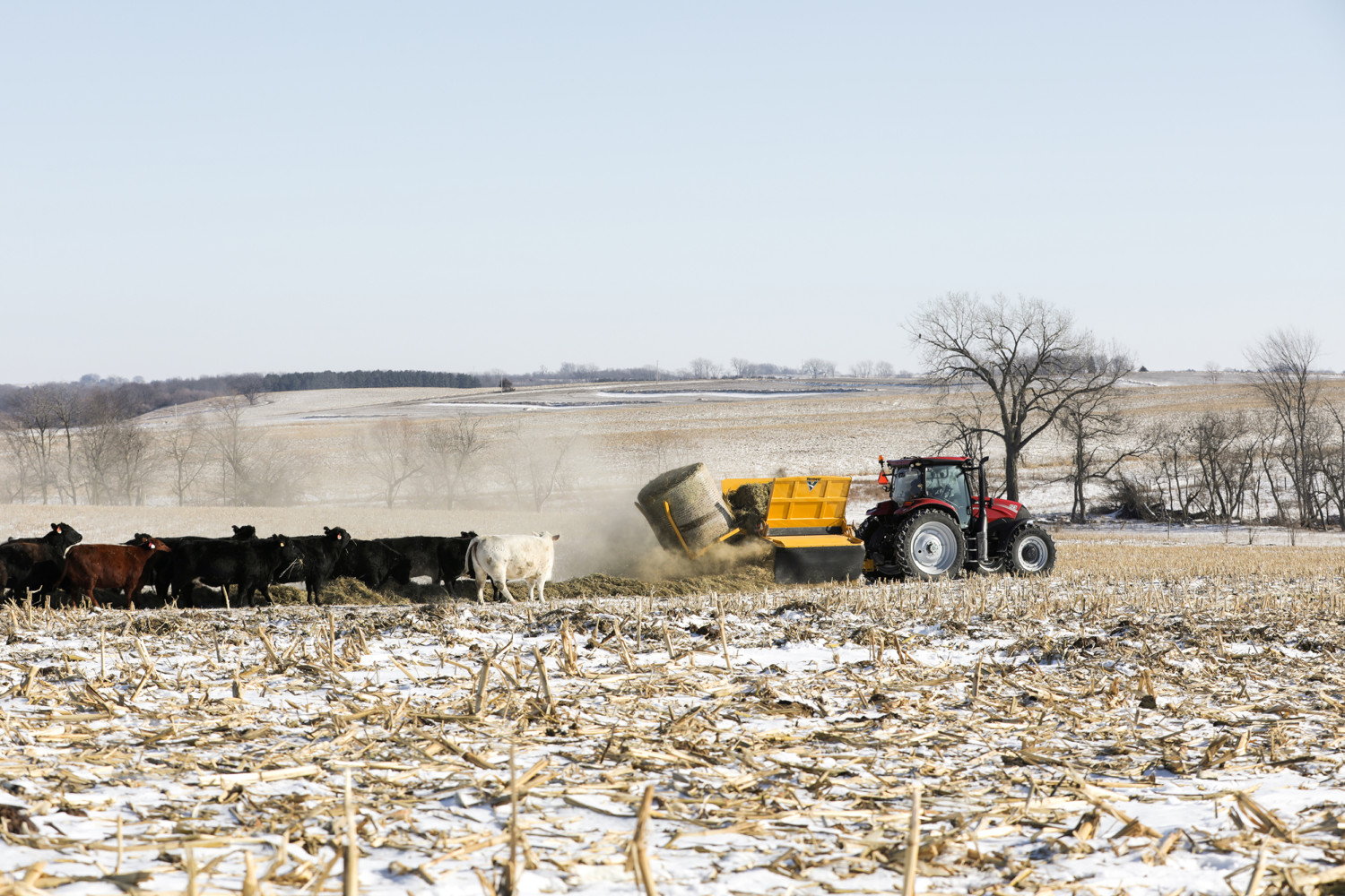 Choosing the best bale processor to fit your operation | Makin' Hay ...