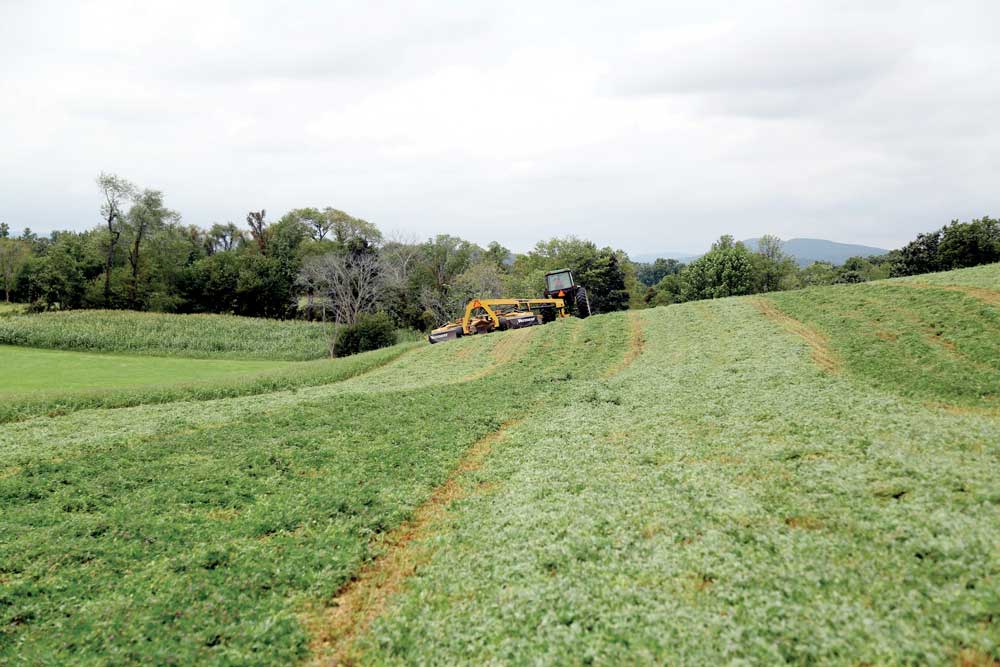 Hay Kings Podcast: Field and Crop Best Practices | Makin' Hay - The ...