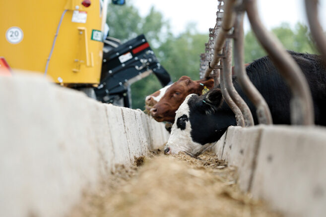Lean Farm Management Helps Improve Vertical Mixer Efficiency | Makin ...