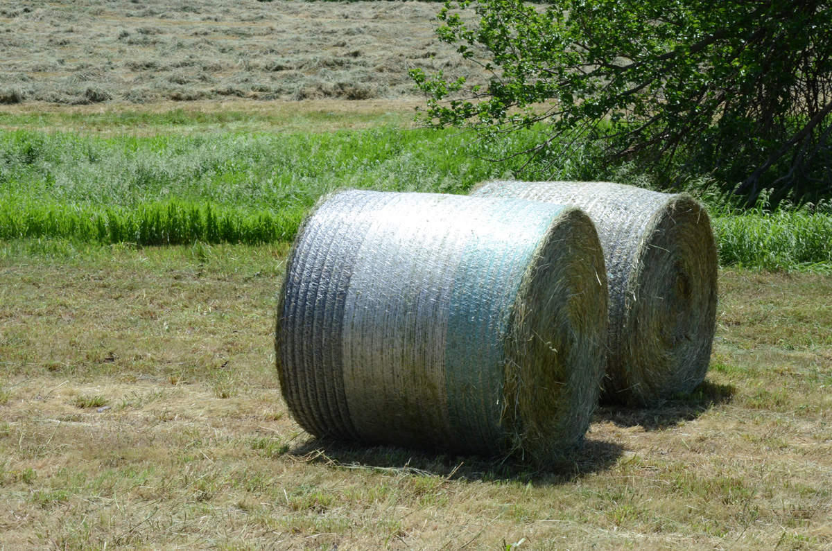 Importance of Testing Hay Quality | Makin' Hay - The Latest In ...