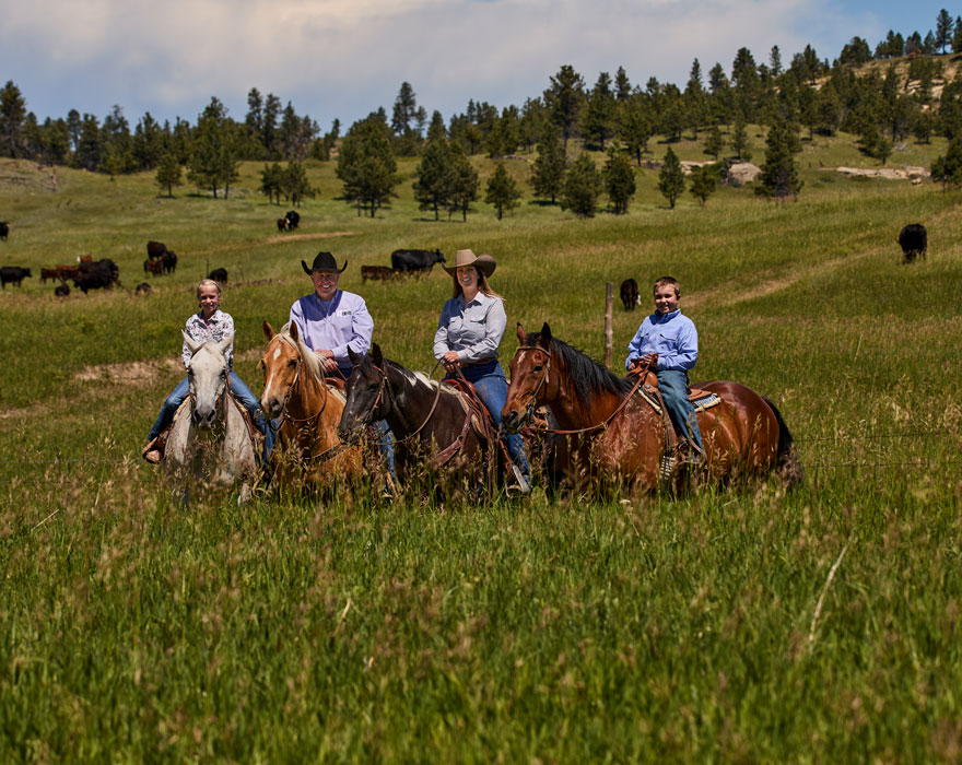How Montana ranch uses Vermeer equipment to thrive in beef industry